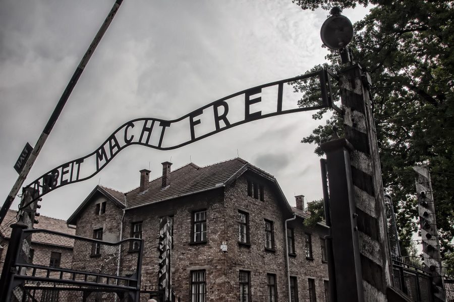 Stand Together – 75 years since Auschwitz - tedNEWS Network