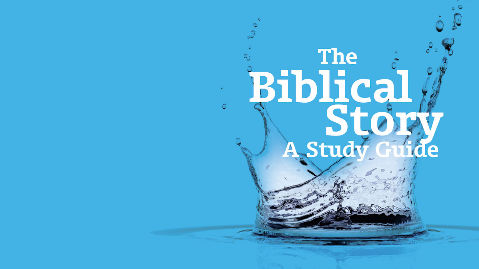 The Biblical Story – A Study Guide - tedNEWS Network