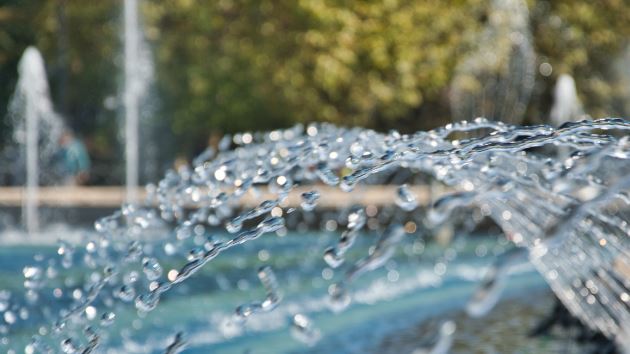 A Celebration of Creation - In Pictures - tedNEWS Network